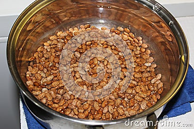 Closeup Of Multicolor Beans In Water Texture Royalty-Free Stock ...