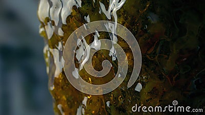 Alien Creature with Slime Oozing Over it Stock Footage - Video of ...