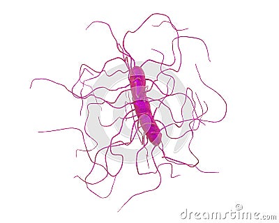 Clostridium Difficile Bacteria Royalty-Free Cartoon | CartoonDealer.com ...