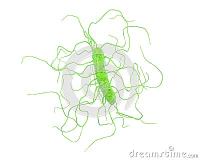Clostridium Difficile Bacteria Royalty-Free Cartoon | CartoonDealer.com ...