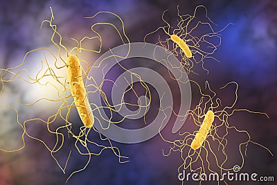 Clostridium Difficile Bacteria Stock Illustration | CartoonDealer.com ...