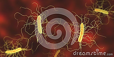 Clostridium Difficile Bacteria Royalty-Free Cartoon | CartoonDealer.com ...