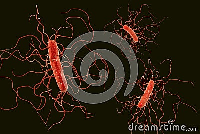 Clostridium Difficile Bacteria Royalty-Free Cartoon | CartoonDealer.com ...