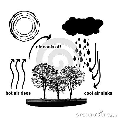 Convection Process Diagram. Warm Air Rises And Cool Air Sinks. Hot And ...