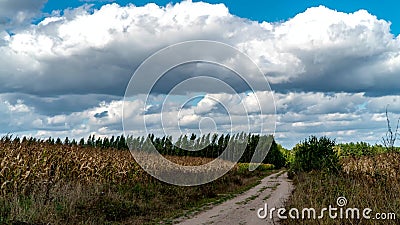 Forests, Fields and Meadows of Podlasie Stock Footage - Video of ...