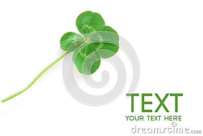 Clover 2 Stock Photography - Image: 10031302
