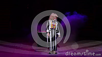 Clown Performance In The Circus Stock Footage - Video of buffoon, adult ...