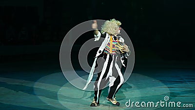 Clown Performance in the Circus Stock Footage - Video of clowns ...