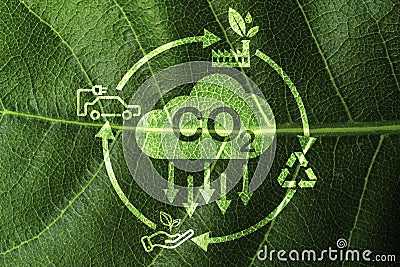 CO2 Reducing Icon On Green Leaf With Circular For Decrease CO2 , Carbon ...