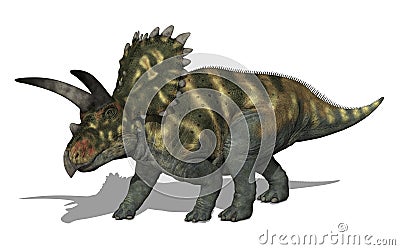 Coahuilaceratops Dinosaur Royalty Free Stock Image - Image: 22680256