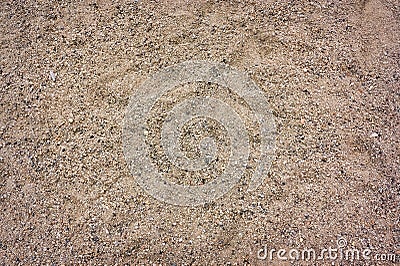 Coarse Sand Texture. Sunlit Sandy Beach Surface, Macro Background ...