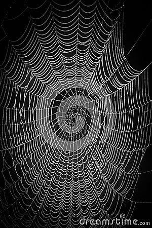 Cobwebs On A Natural Background Stock Photo - Image: 64656291