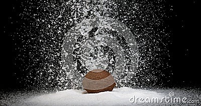 Coconut, Cocos Nucifera, Fruit and Powder Exploding Against Black ...