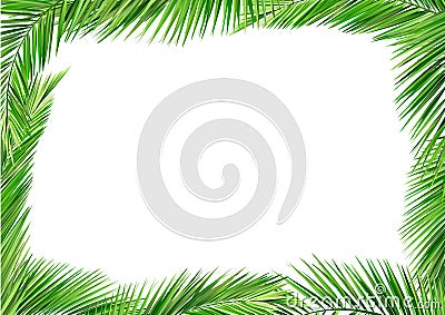 Coconut Leaves Frame Royalty Free Stock Photography - Image: 28722147