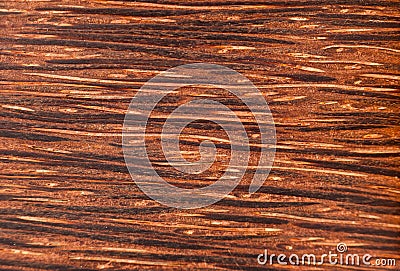 Coconut Palm Wood Texture Stock Photo | CartoonDealer.com #20409888