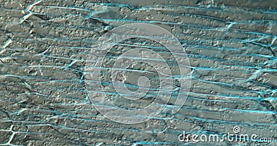 Coconut pulp stock footage. Video of textur, blue, transmitted - 205432262