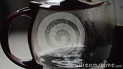 Coffee is Dropping Fast into Transparent Glass Teapot. Stock Footage ...