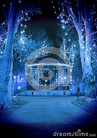 Cold Blue Christmas Night Stock Photo - Image: 12131140