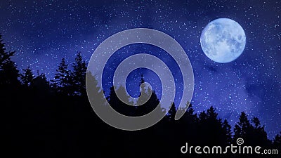 Cold Starry Night in the Mountains with a Full Moon Stock Video - Video ...