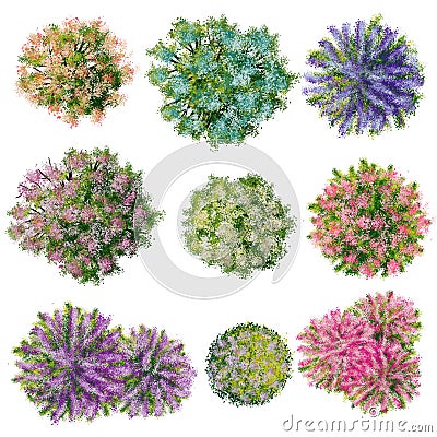 Abstract Green Tree Top View Stock Illustration | CartoonDealer.com ...