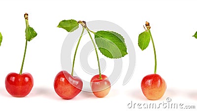 Collection of Light Red Different Sweet Cherries with Green Leaf, Side ...