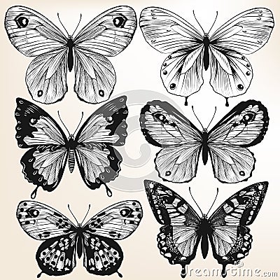 Collection Of Vector Hand Drawn Detailed Butterflies For Design ...
