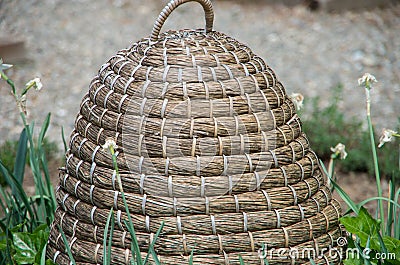 Colmena Artificial Imagen de archivo libre de regalías - Imagen: 31093086