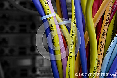 Network cables stock photo. Image of string, internet - 4719596