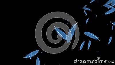 Color Feather Falling Particles Motion Graphics Stock Footage - Video ...