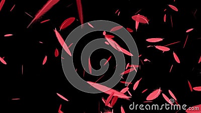 Color Feather Falling Particles Motion Graphics Stock Footage - Video ...