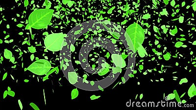 Color Leaves Falling Particles Motion Graphics Stock Footage - Video of ...