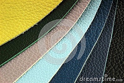 Color Palette Sample Picker Of Leather Material Stock Photo ...