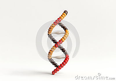 Colorful 3D DNA Double Helix Model Stock Photo | CartoonDealer.com ...