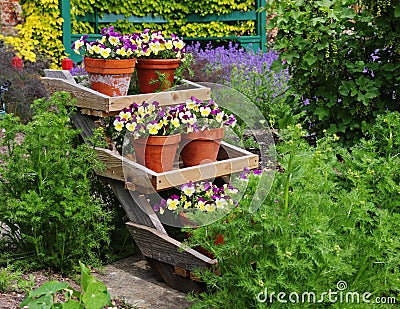 Colorful Flowerpot Display In An English Garden Stock Photo - Image ...