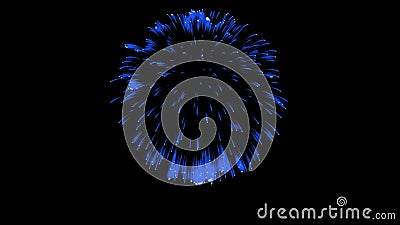 Colorful Single Firework at Night. Spectacular Single Firework ...