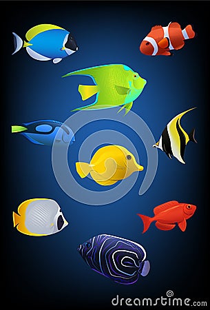 Colorful Tropical Fish Royalty Free Stock Images - Image: 13910599