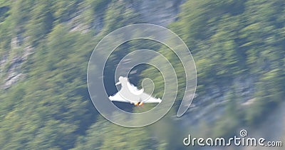 Combat Jet Plane Make a Turn with Full Afterburner and Pull Up Close To ...