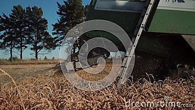 Combine straw chopper stock footage. Video of farmland - 131294444