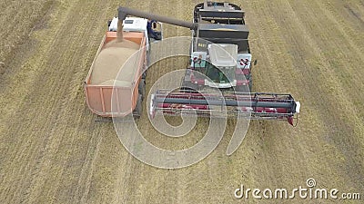 The Combine Will Unload the Grain into the Truck Stock Footage - Video ...