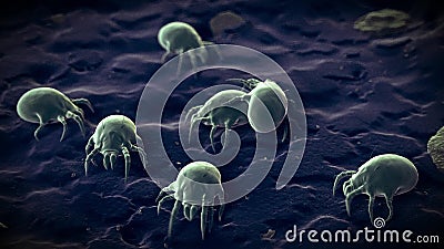 Common dust mites stock video. Video of monster, acarian - 68293121