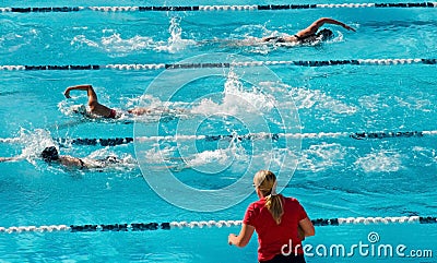 Swim Meet Competition editorial photo. Image of lose - 25565826