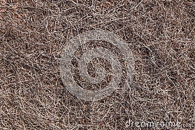 Completely Dried Out Soil Of Ponta Do Rosto Madeira. Royalty-Free Stock ...