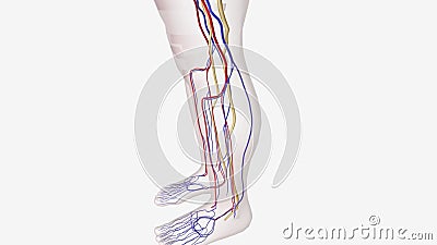 Complications of Type 2 Diabetes, Muscle Weakness Stock Video - Video ...