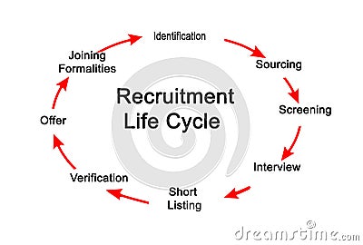 Recruitment Life Cycle Stock Photography | CartoonDealer.com #115460684