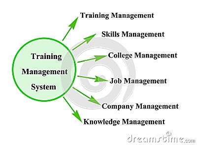 Components Of Training Management System Royalty-Free Stock Photography ...
