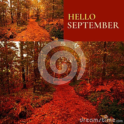 Composite Of Hello September Text Over Autumn Trees Royalty-Free Stock ...