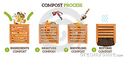 Compost Process Realistic Infographics Cartoon Vector | CartoonDealer ...