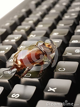 Computer Bug Images - Search Images on Everypixel