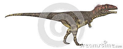 Dinosaur Mapusaurus Isolated On White Background Stock Illustration ...