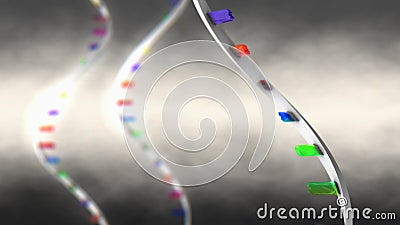 3d Rendering Messenger RNA Model. Stock Footage - Video of scientific ...